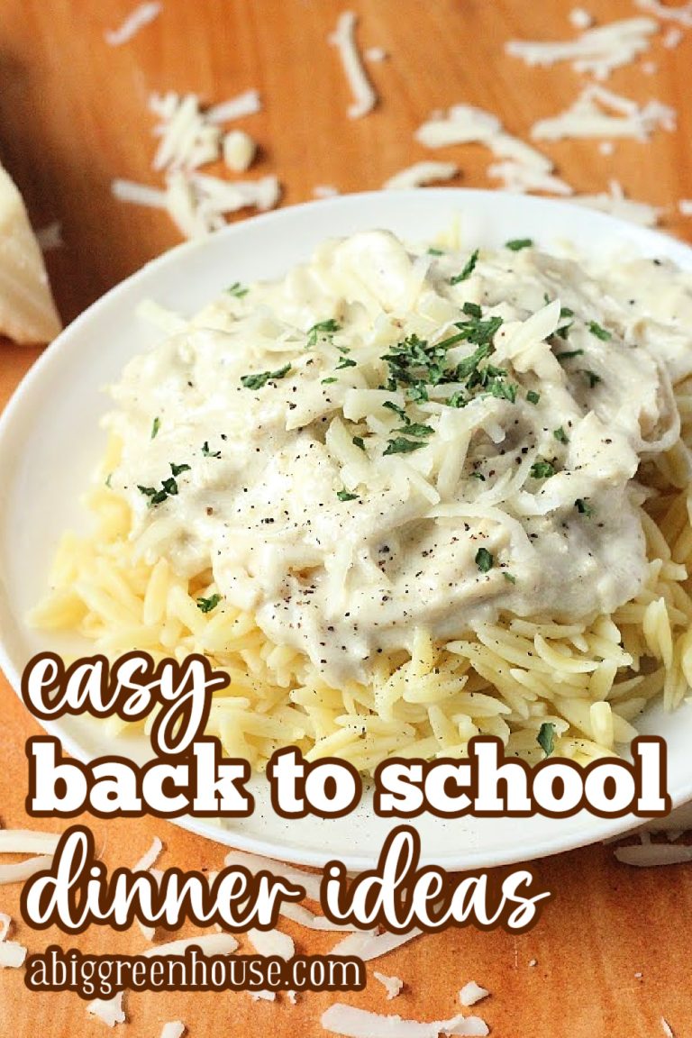 Easy Back to School Dinner Ideas – Big Green House