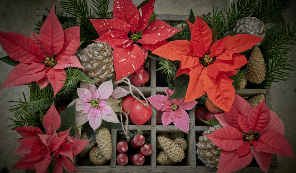 14 Holiday Decorating Shortcuts That Backfired – Big Green House