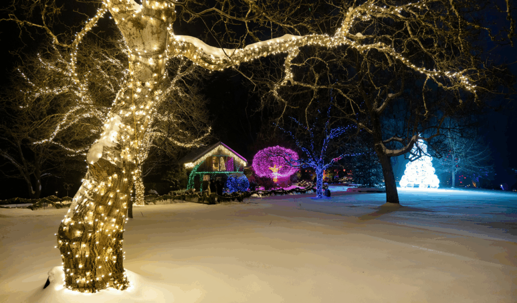 13 Holiday Displays That Feel More Like a Cry for Attention Than ...